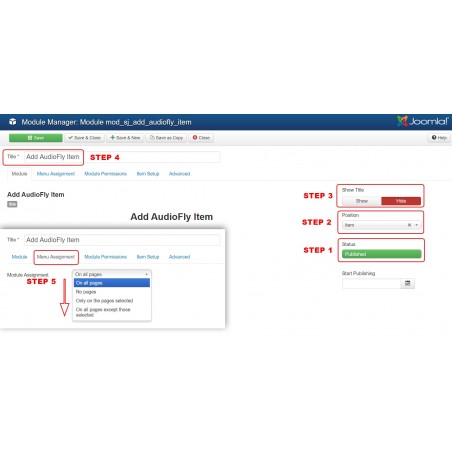 One item display for AudioFly